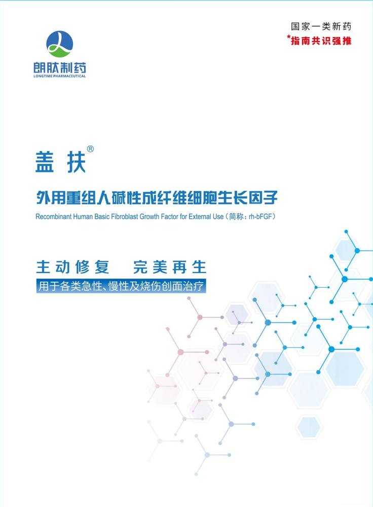 盖扶彩页(2025)-FLBOOK